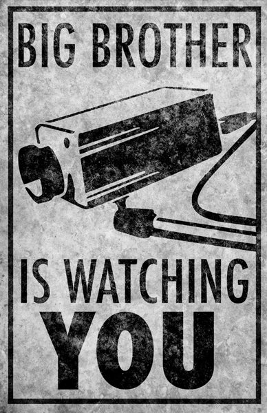 Big Brother is Watching You – The College Poster Sale Company
